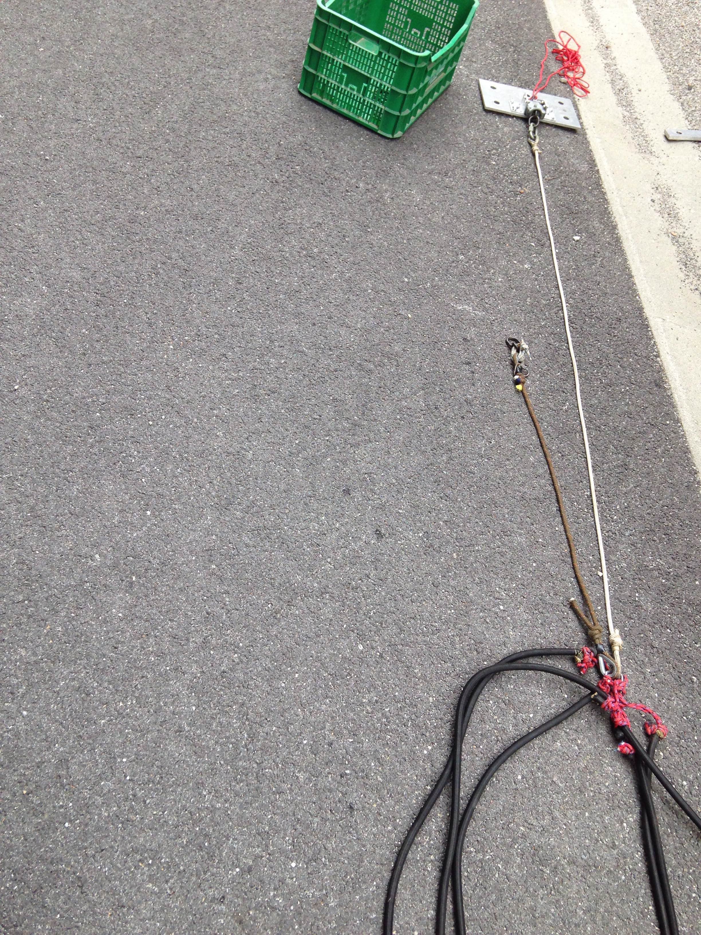 A Bungee Launch System