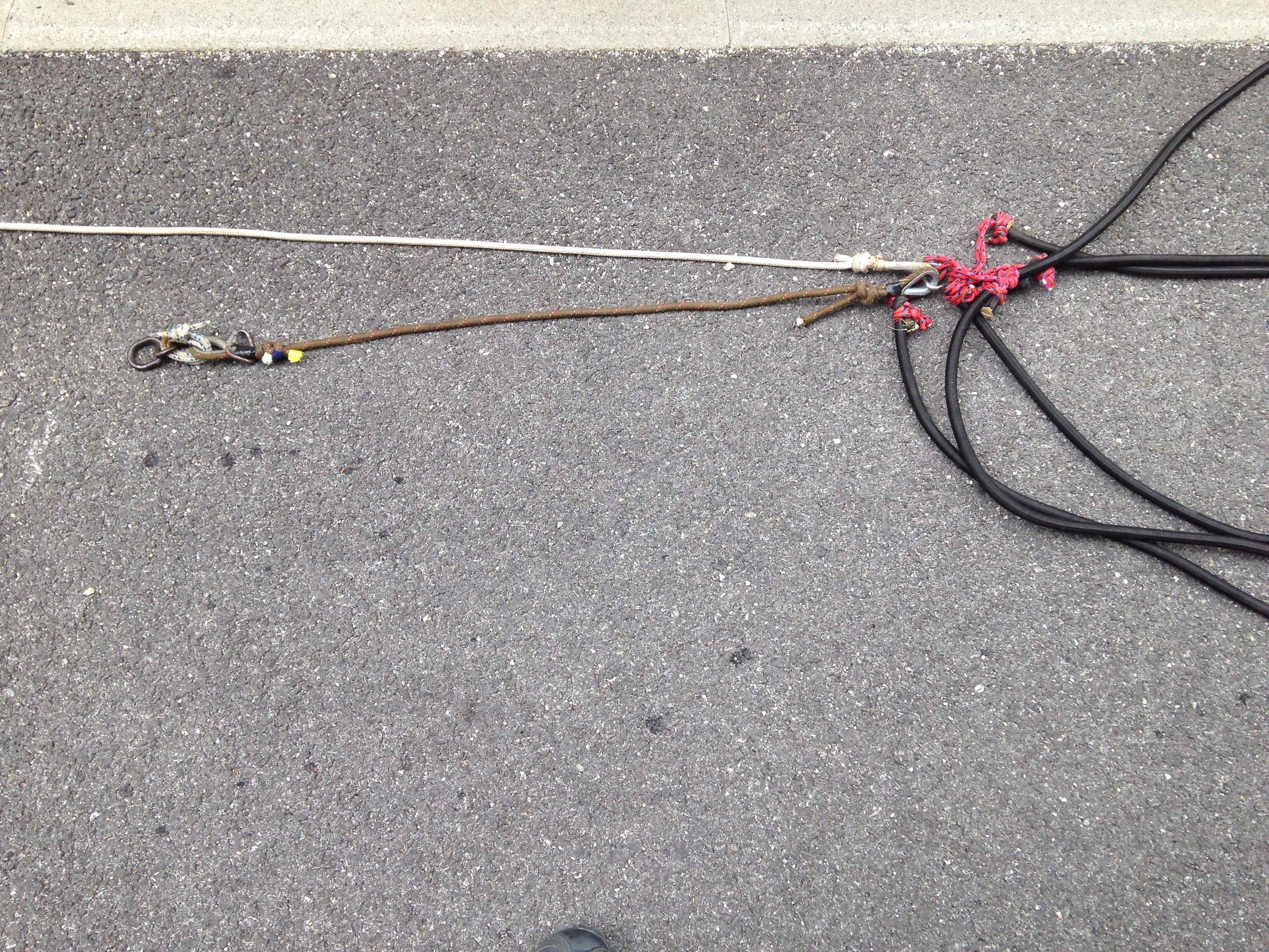 A Bungee Launch System